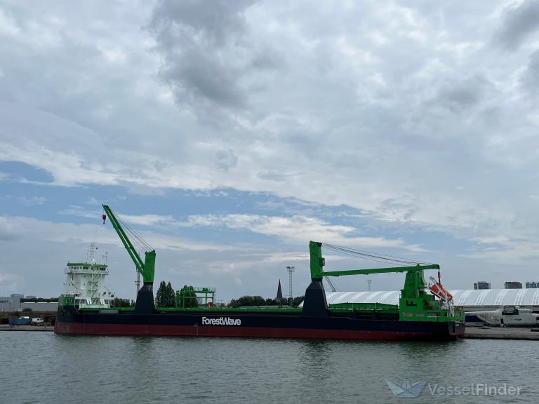 FOREST WAVE, Wood Chips Carrier - Details and current position - IMO ...