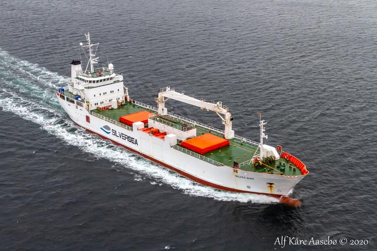 SILVER BIRD, Refrigerated Cargo Ship - Details and current position ...