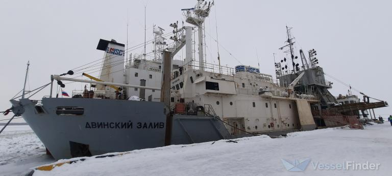 DVINSKIY ZALIV, Dredger - Details and current position - IMO 8922486 ...