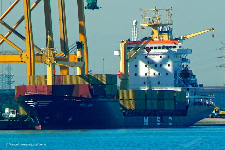 MSC AMY, Container Ship - Details and current position - IMO 9003483 ...