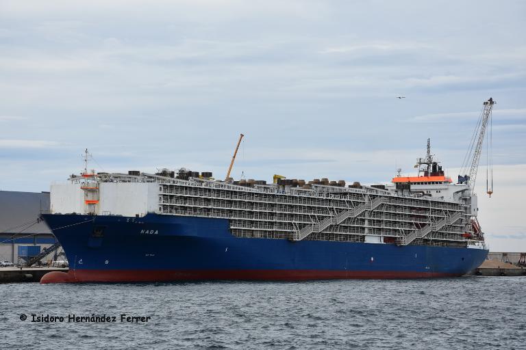 NADA, Livestock Carrier - Details and current position - IMO 9005429 ...