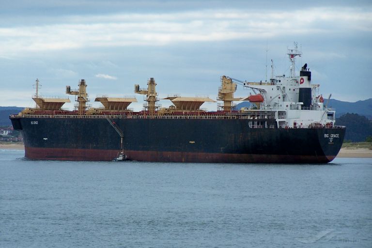 MEGA GRACE, Wood Chips Carrier - Details and current position - IMO ...