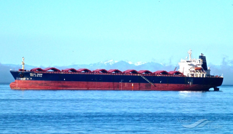 DELTA PRIDE, Bulk Carrier - Details and current position - IMO 9012381 ...