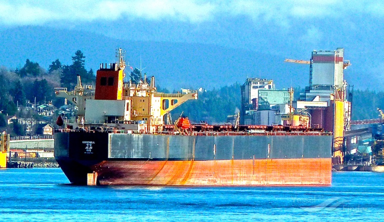 GOODWILL, Bulk Carrier - Details and current position - IMO 9037745 ...