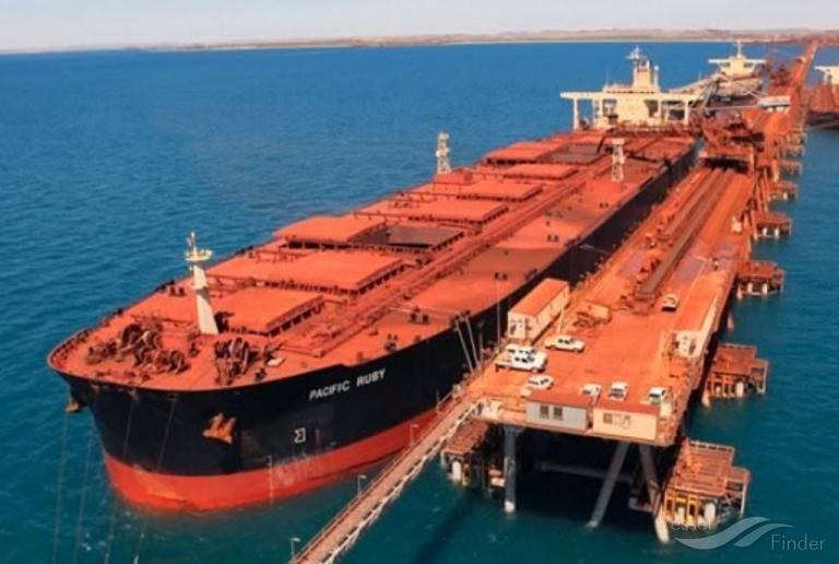 PACIFIC RUBY, Bulk Carrier - Details and current position - IMO 9043720 ...
