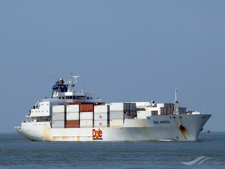 DOLE AMERICA, Refrigerated Cargo Ship - Details and current position ...