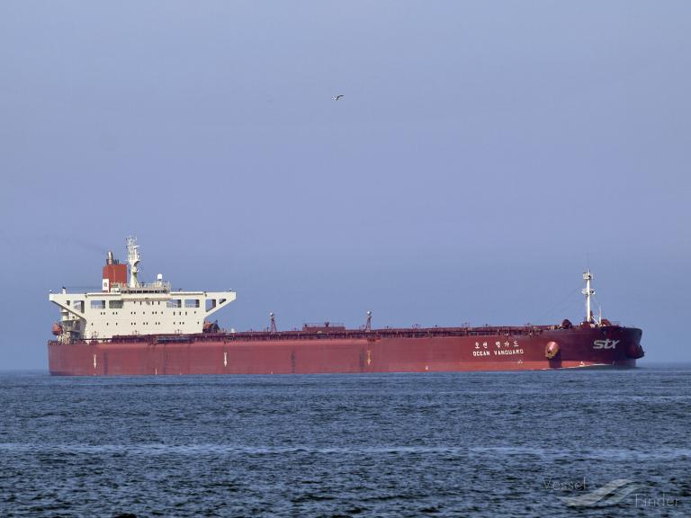 OCEAN, Bulk Carrier - Details and current position - IMO 9064889 ...