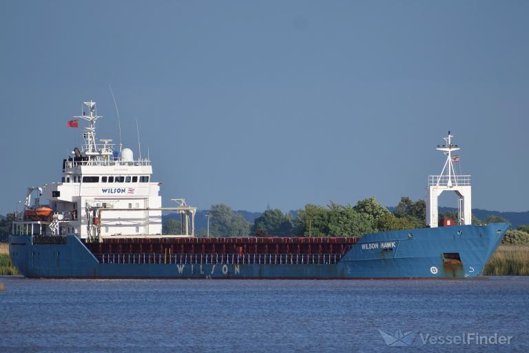 WILSON HAWK, General Cargo Ship - Details and current position - IMO ...