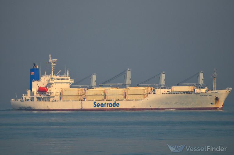 LONG, Refrigerated Cargo Ship - Details and current position - IMO ...