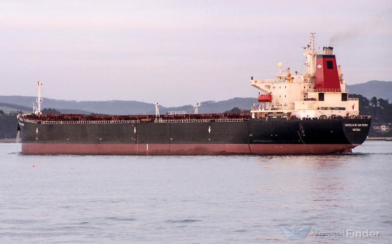 CASTILLO DE SAN PEDRO, Bulk Carrier - Details and current position ...