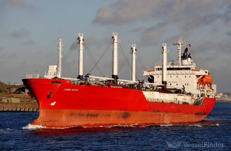 AVUNDA REEFER, Refrigerated Cargo Ship - Details and current position ...