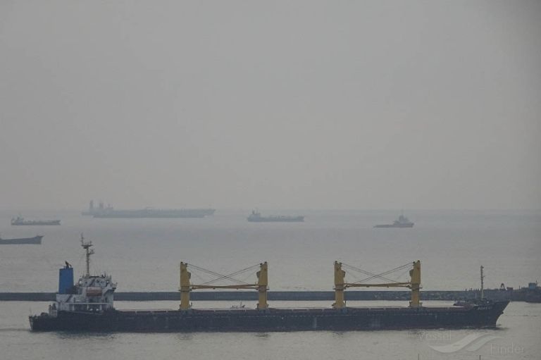 HONG LI, Bulk Carrier - Details and current position - IMO 9074705 ...