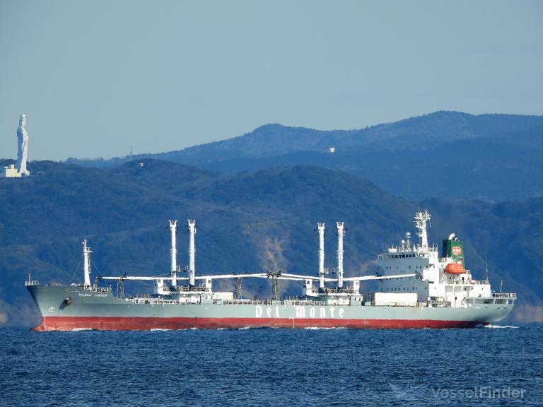 TOLEDO CARRIER, Refrigerated Cargo Ship - Details and current position ...