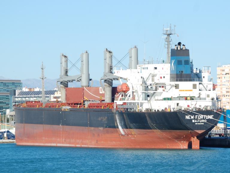 NEW FORTUNE, Bulk Carrier - Details and current position - IMO 9082946 ...