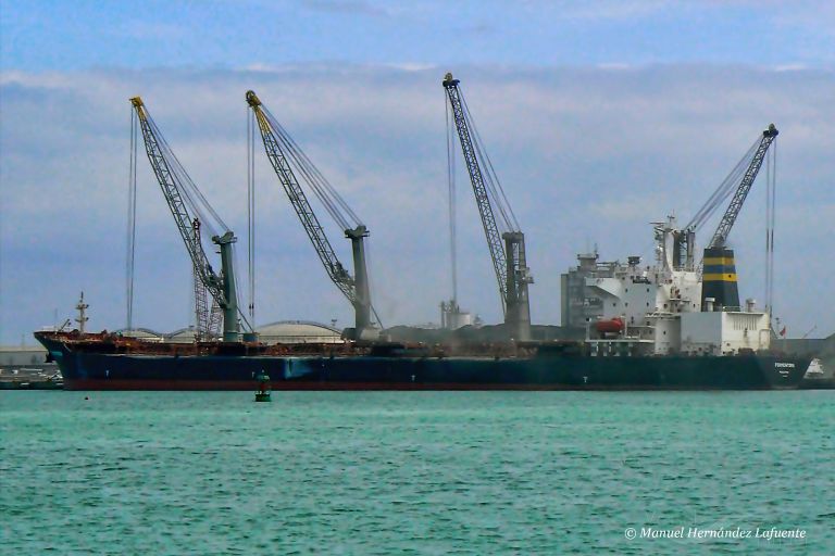 PANAMAX BLESSING, Bulk Carrier - Details and current position - IMO ...