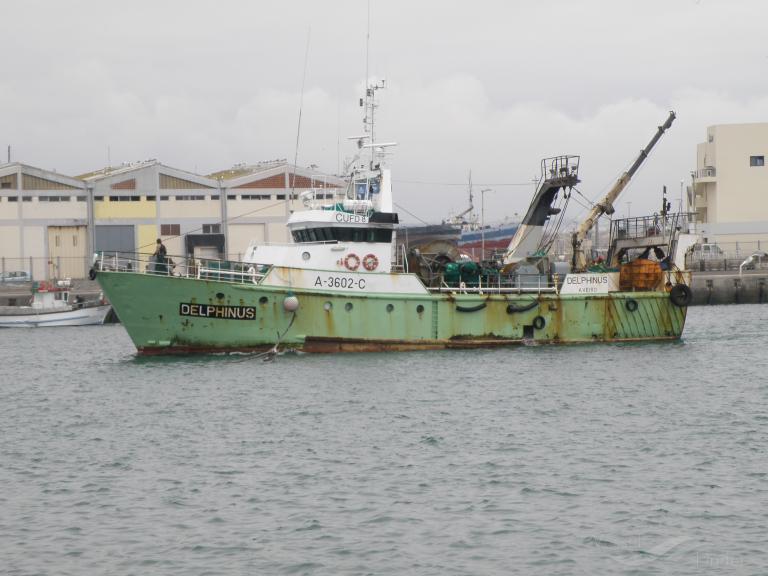 DELPHINUS, Fishing Vessel - Details and current position - IMO 9096868 ...