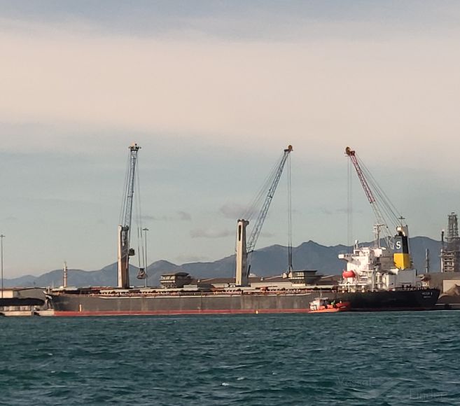 PETER S, Bulk Carrier - Details and current position - IMO 9104110 ...