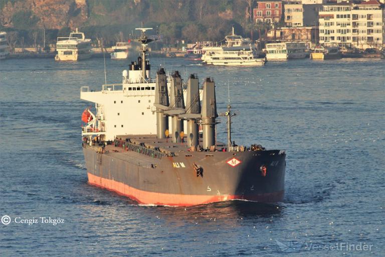 ALI M, Bulk Carrier - Details and current position - IMO 9104562 ...
