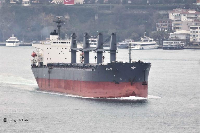 ALI M, Bulk Carrier - Details and current position - IMO 9104562 - VesselFinder