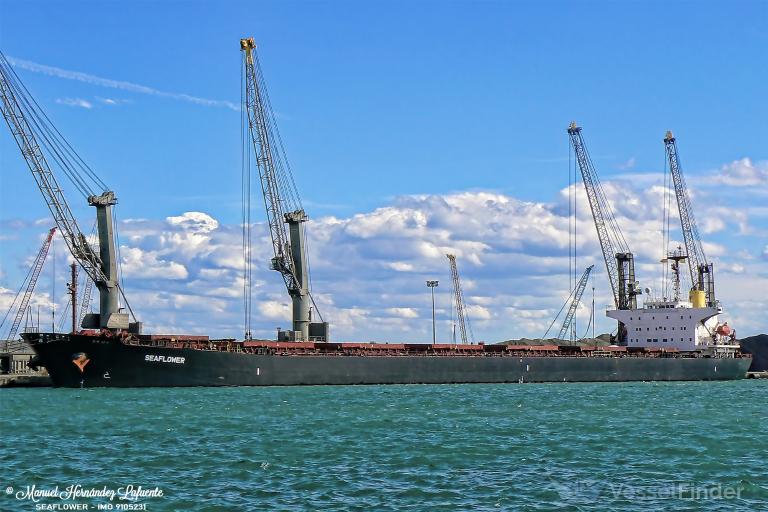 SEA LORD, Bulk Carrier - Details and current position - IMO 9105231 ...