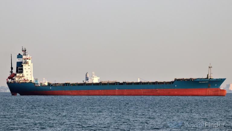 PSA CONNECTIVITY, Container Ship - Details and current position - IMO ...