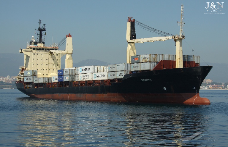 SERVAL, Container Ship - Details and current position - IMO 9106481 ...