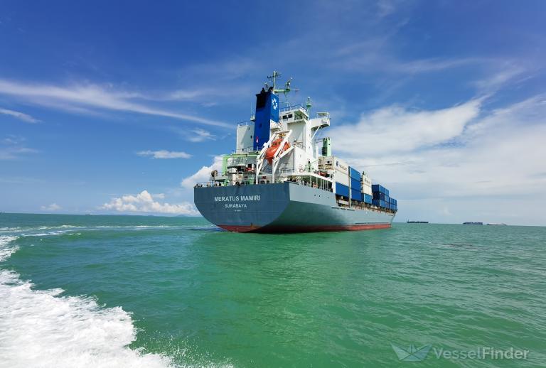 MERATUS MAMIRI, Container Ship - Details and current position - IMO ...