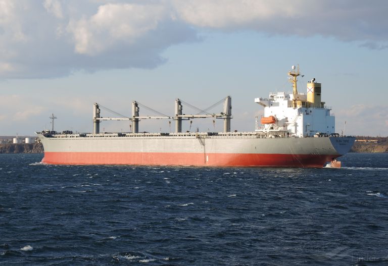 ONE DESTINY, Bulk Carrier - Details and current position - IMO 9107667 ...