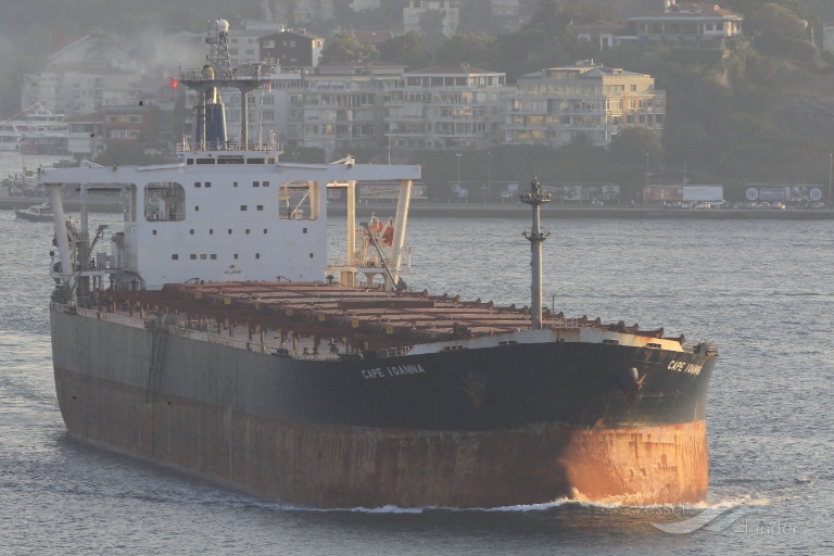 VICTOR, Bulk Carrier - Details and current position - IMO 9111917 ...