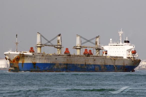 ANDA RAYA, Bulk Carrier - Details and current position - IMO 9116670 ...