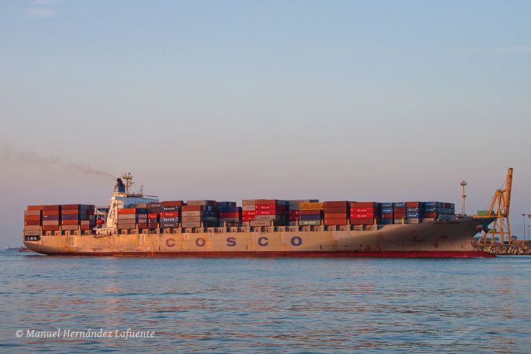 ZHONG YUAN QING DAO, Container Ship - Details and current position ...