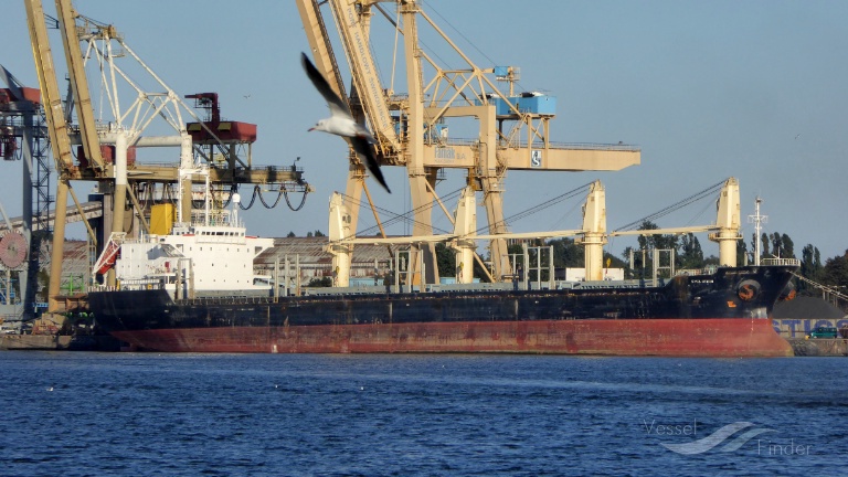 EVOLUTION, Bulk Carrier - Details and current position - IMO 9122899 ...