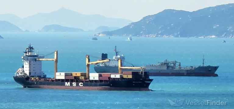 MSC ELSA3, Container Ship - Details and current position - IMO 9123221 ...