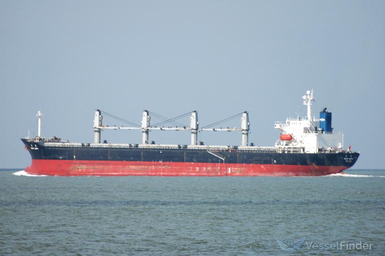 GREAT HAPPY, Bulk Carrier - Details and current position - IMO 9136474 ...