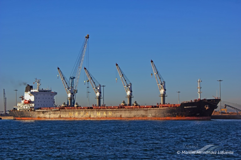 CASTLE, Bulk Carrier - Details and current position - IMO 9137428 ...