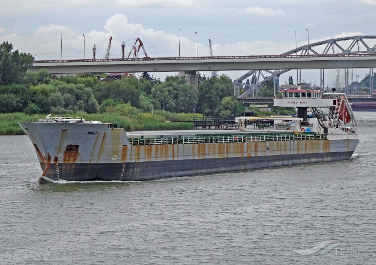 NK PEARL, Container Ship - Details and current position - IMO 9141340 ...