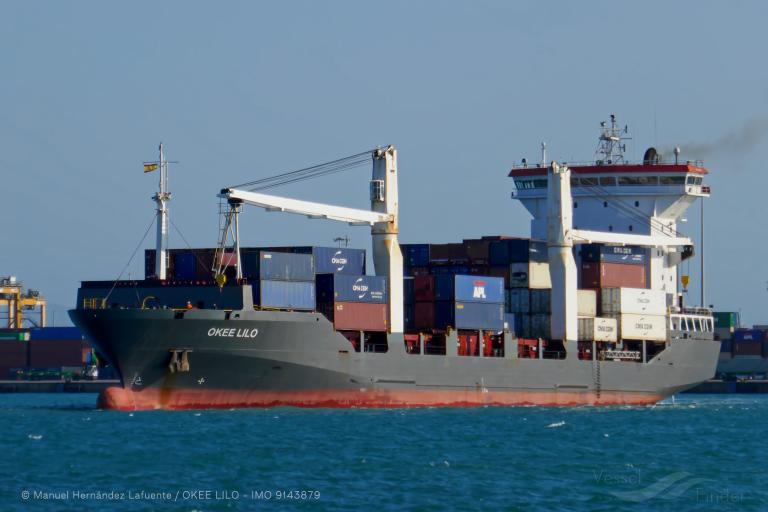 MSC LILO F, Container Ship - Detalles del buque y posición actual - IMO ...