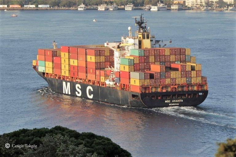 MED AYDIN, Container Ship - Details and current position - IMO 9148025 ...