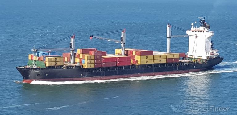 FIONA, Container Ship - Details and current position - IMO 9149885 ...