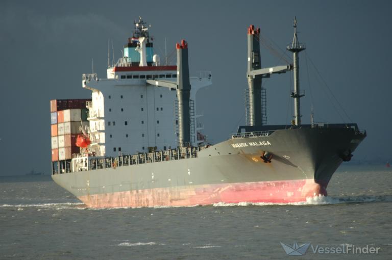 PADMA, Container Ship - Details and current position - IMO 9152583 ...