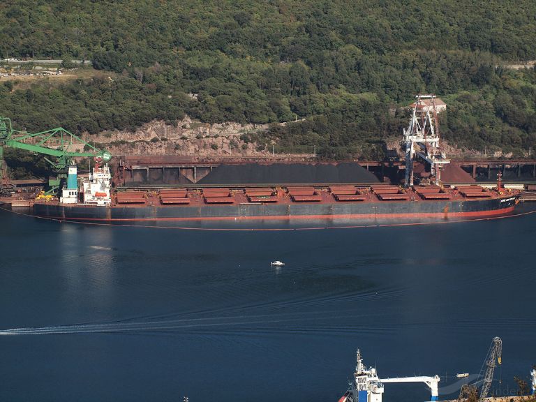 ORE BAYOVAR, Bulk Carrier - Details and current position - IMO 9157686 ...