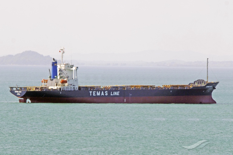 SPRING MAS, Container Ship - Details and current position - IMO 9159866 ...