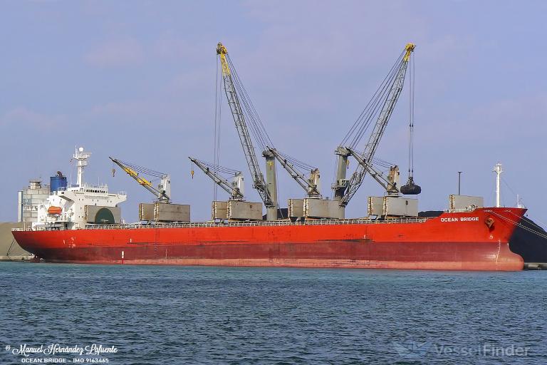 AMMAR, Bulk Carrier - Details and current position - IMO 9163465 ...