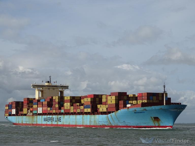 MSC ELLEN, Container Ship - Details and current position - IMO 9166780 ...