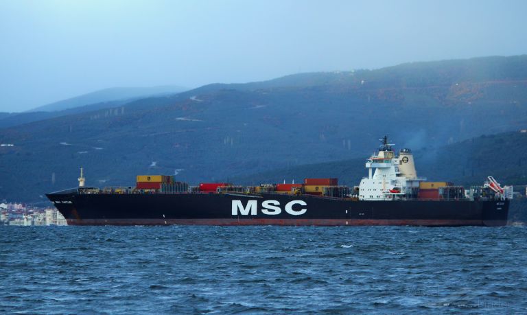 MSC CAITLIN, Container Ship - Данные судна и текущее положение - IMO ...