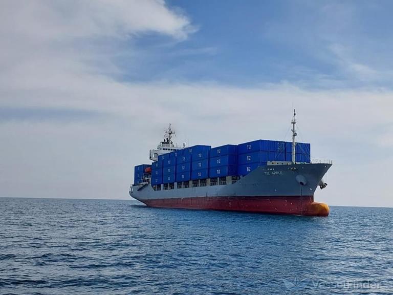 TI2 APPLE, Container Ship - Details and current position - IMO 9172595 ...