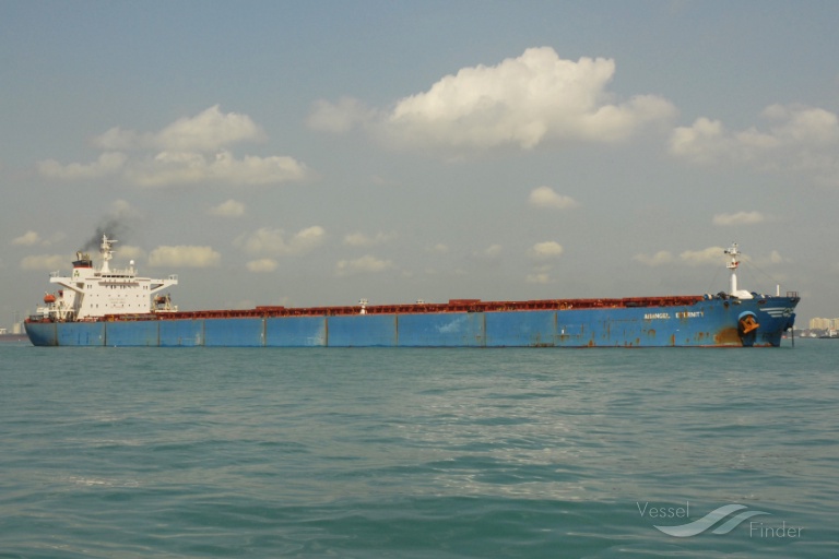 ETERNITY, Bulk Carrier - Details and current position - IMO 9176644 ...