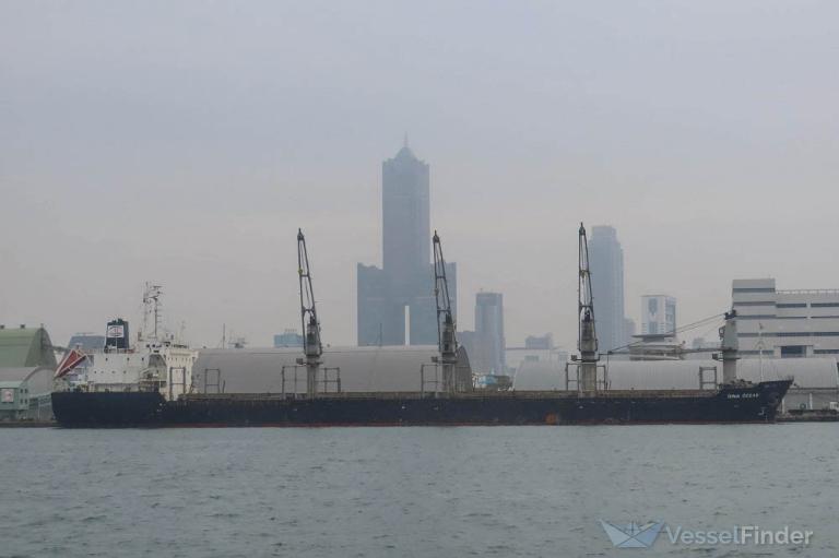 DINA OCEAN, Bulk Carrier - Details and current position - IMO 9177480 ...