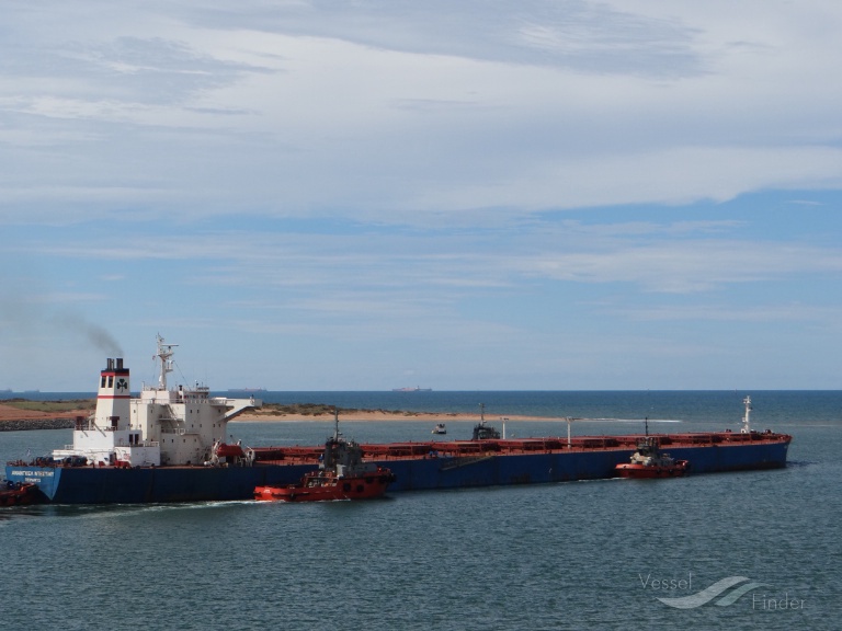 NANO, Bulk Carrier - Details and current position - IMO 9179593 ...