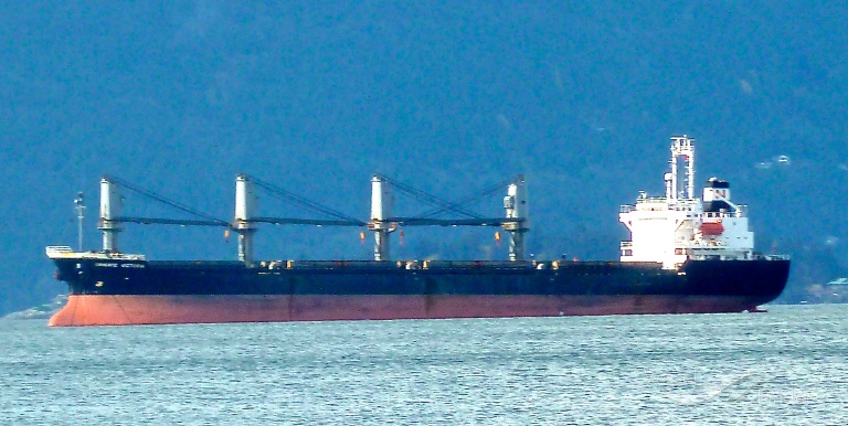 FLORA, Bulk Carrier - Details and current position - IMO 9180334 ...